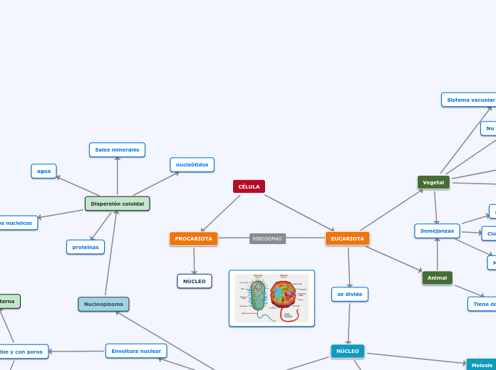 CÉLULA - Mind Map